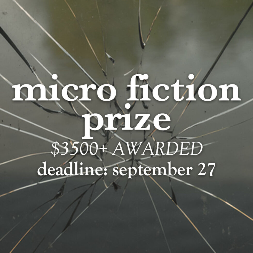 the 2020 fractured lit micro fiction prize longlist | Fractured